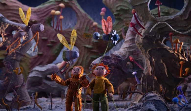 Feiner Janka’s Fire in My Pocket Selected for Berlinale Generation...